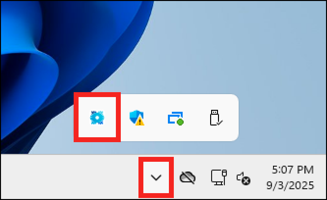 How do I know if Victory Shield™ is working properly on a Windows ...