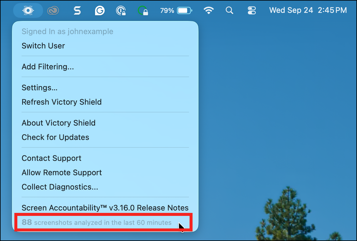 How do I know if Victory Shield™ is working properly on a Mac ...