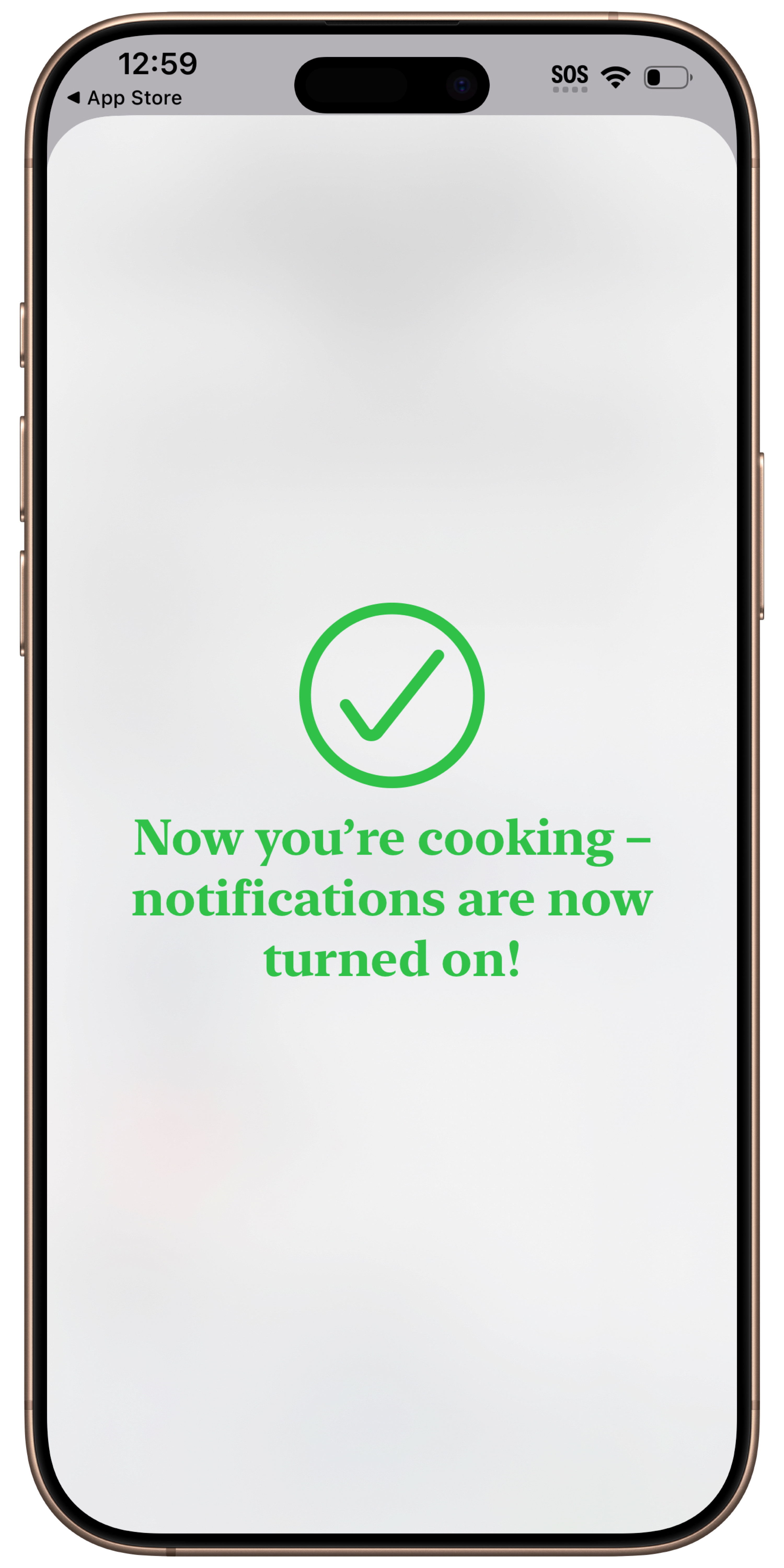 How do I install Victory Shield™ on an iPhone®? – Covenant Eyes Service ...