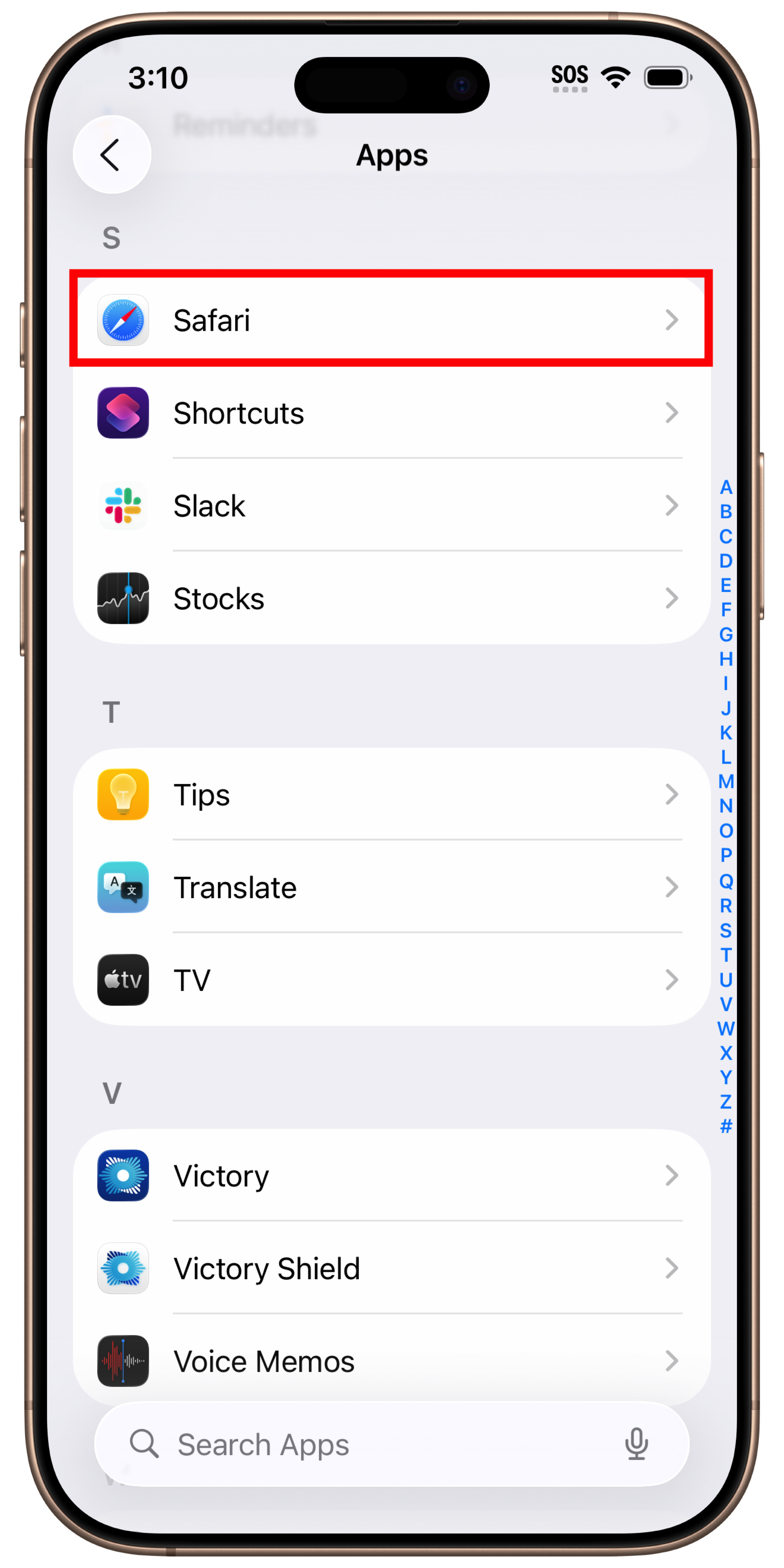 How do I set a default browser on an iPhone®? – Covenant Eyes Service ...