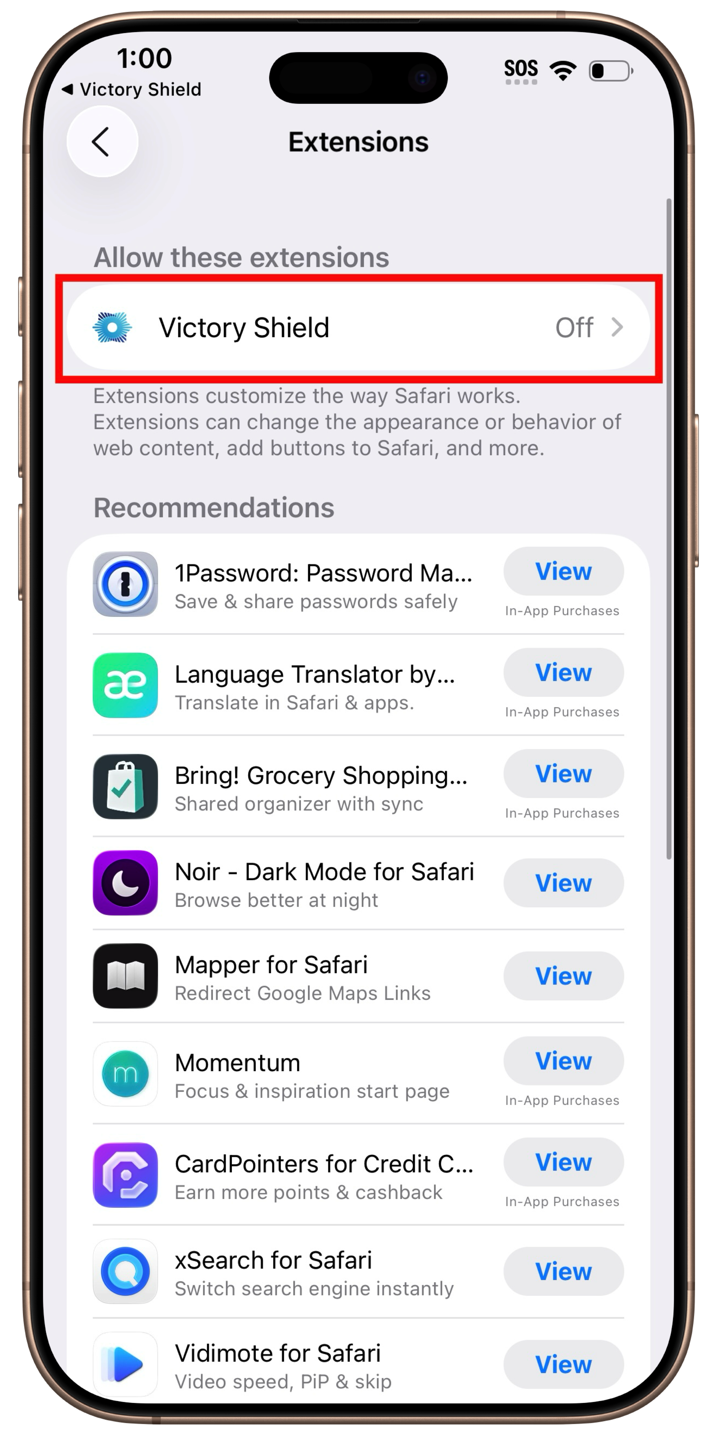 How do I turn on and lockdown the Victory Shield™ Safari® extension on ...